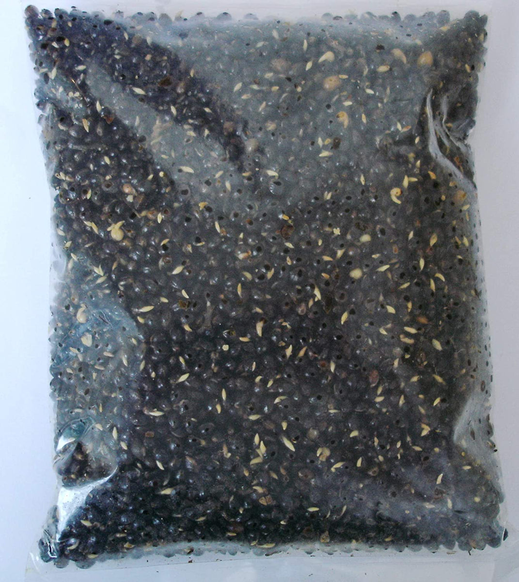 Hemp Seed - Natural - Ready Prepared – Baracuda Fishing Tackle